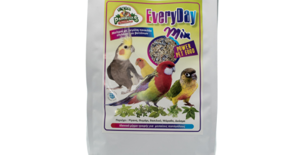 EVERY DAY MIX 800GR
