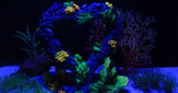 ΔΙΑΚΟΣΜΗΤΙΚΟ ΕΝΥΔΡΕΙΟΥ ΒΡΑΧΟΣ ΜΕ ΚΑΡΔΙΑ AQUARISTIC