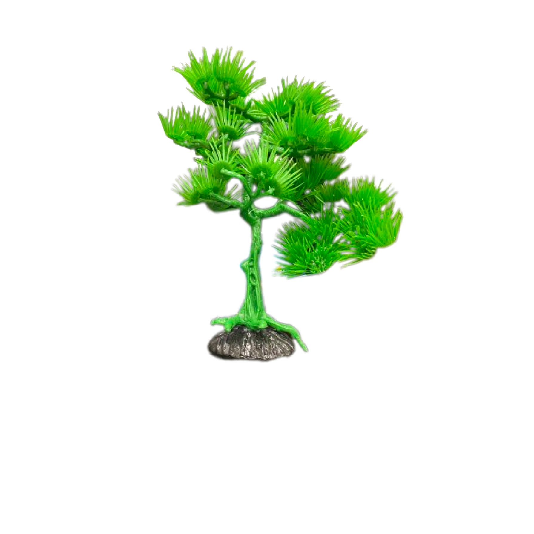 ΔΙΑΚΟΣΜΗΤΙΚΑ ΦΥΤΑ ΕΝΥΔΡΕΙΟΥ BONSAI AQUARISTIC 18CM