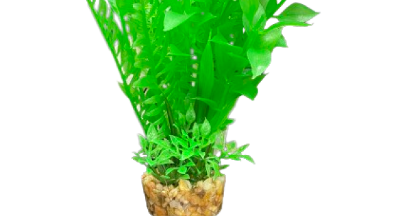 ΔΙΑΚΟΣΜΗΤΙΚΑ ΦΥΤΑ ΕΝΥΔΡΕΙΟΥ ΠΡΑΣΙΝΟ AQUARISTIC 20CM