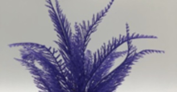 ΔΙΑΚΟΣΜΗΤΙΚΑ ΦΥΤΑ ΕΝΥΔΡΕΙΟΥ ΜΩΒ AQUARISTIC 20CM