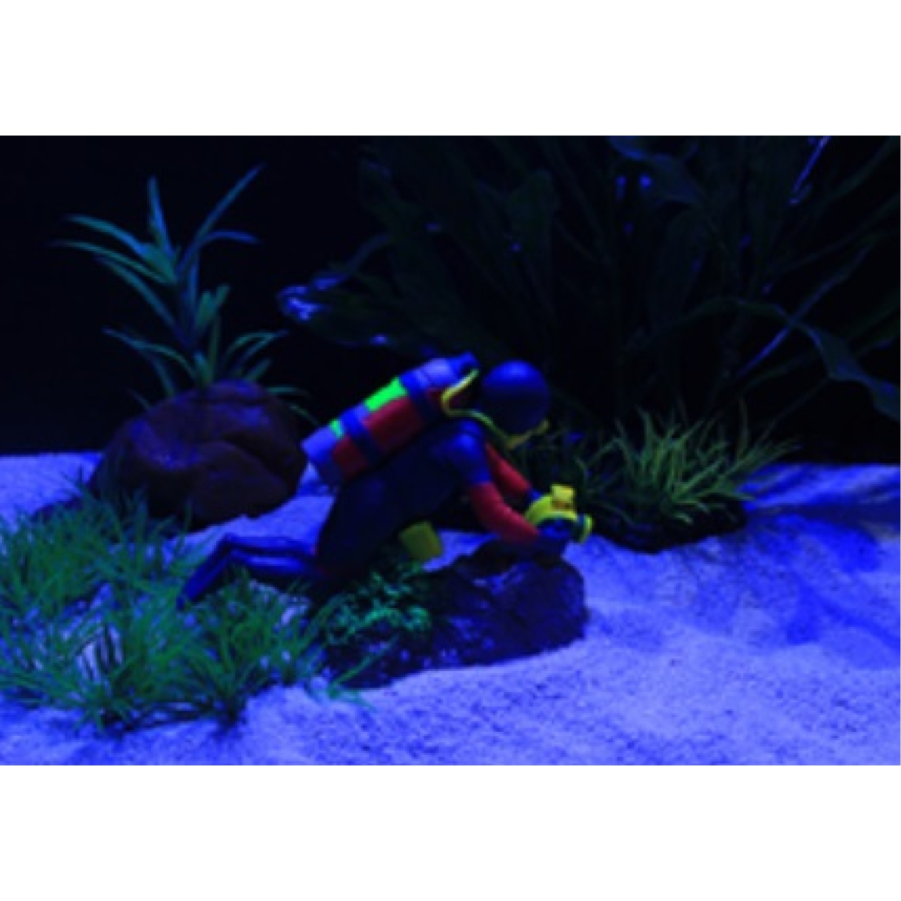 ΔΙΑΚΟΣΜΗΤΙΚΑ ΕΝΥΔΡΕΙΟΥ ΔΥΤΗΣ AQUARISTIC