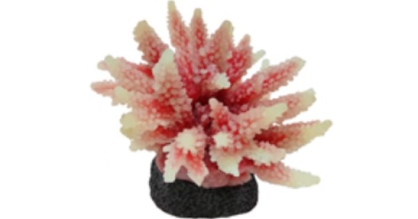 ΔΙΑΚΟΣΜΗΤΙΚΑ ΕΝΥΔΡΕΙΟΥ WITHE RESIN BASE AQUARISTIC