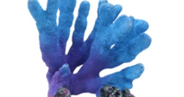 ΔΙΑΚΟΣΜΗΤΙΚΟ ΕΝΥΔΡΕΙΟΥ ΒΡΑΧΟΣ ΚΟΡΑΛΙ BLUE AQUARISTIC