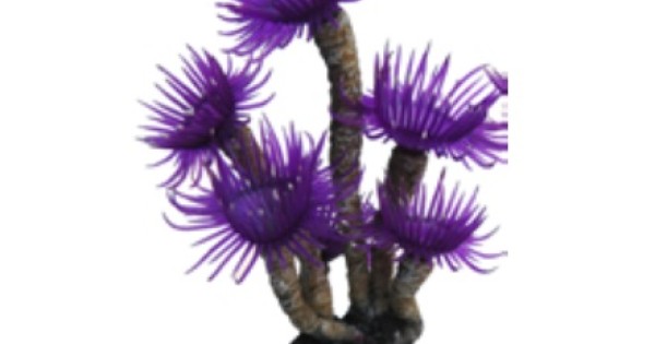 ΔΙΑΚΟΣΜΗΤΙΚΟ ΕΝΥΔΡΕΙΟΥ SOFT CORAL PURPLE ACUARISTIC