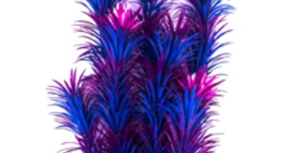 ΔΙΑΚΟΣΜΗΤΙΚΑ ΦΥΤΑ ΠΛΑΣΤΙΚΑ ΕΝΥΔΡΕΙΟΥ AQUARISTIC ΜΠΛΕ ΜΩB ROZ