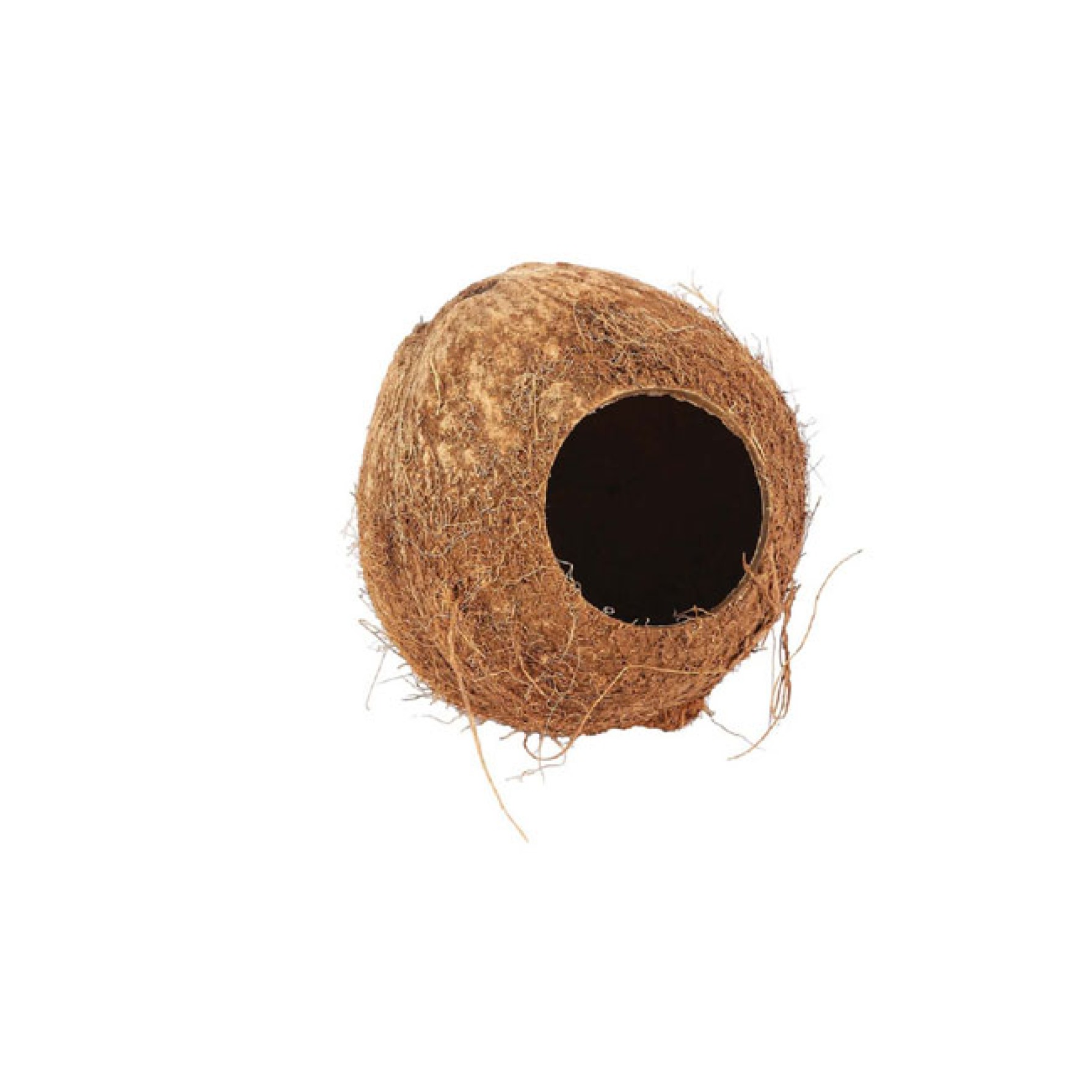 COCONUT HUT