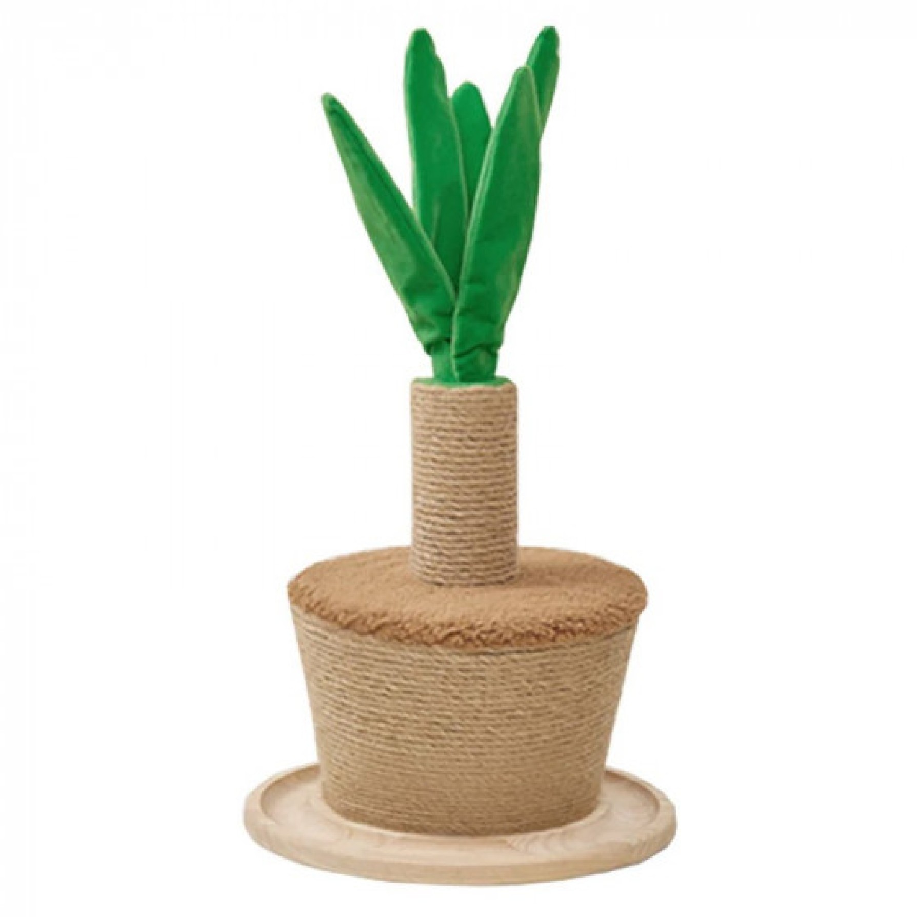 FO ΟΝΥΧΟΔΡΟΜΙΟ POTPLANT