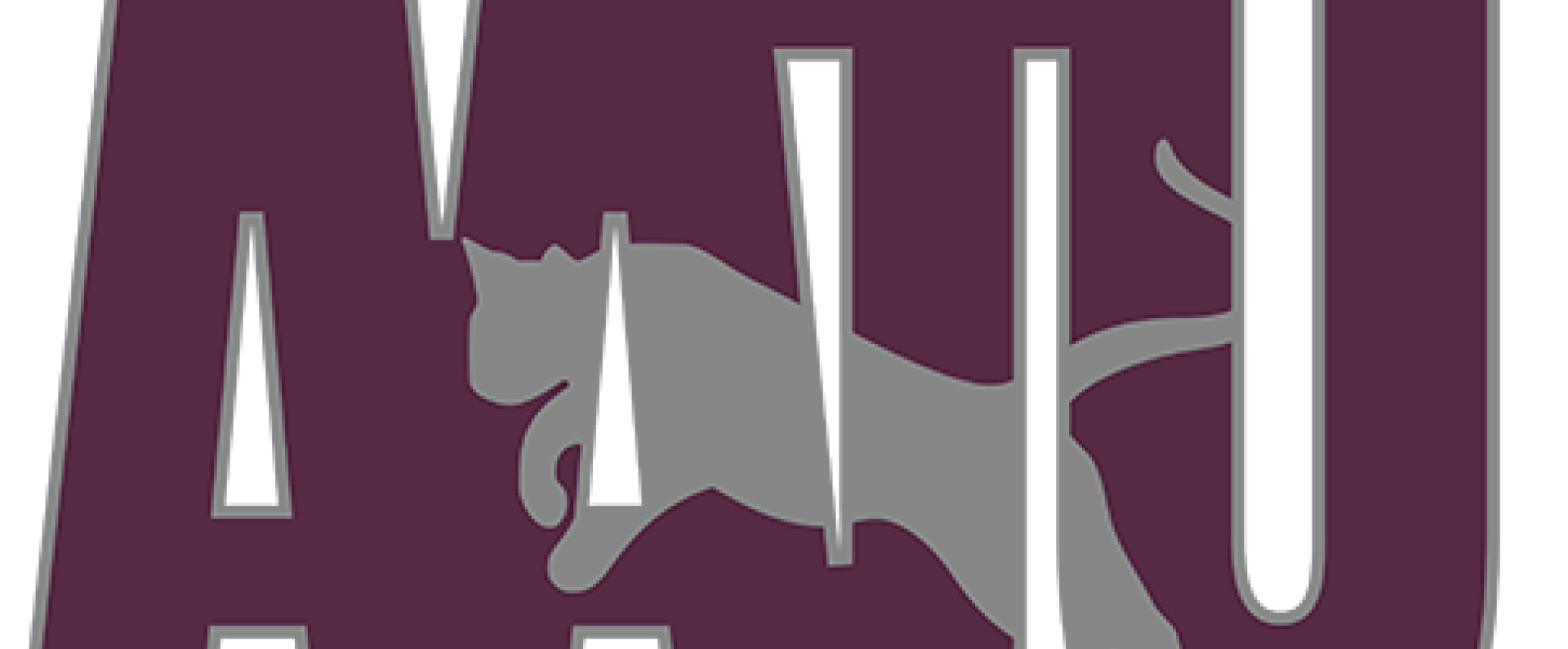 Aatu Ξηρά Τροφή Για Σκύλους | Petsupermarket