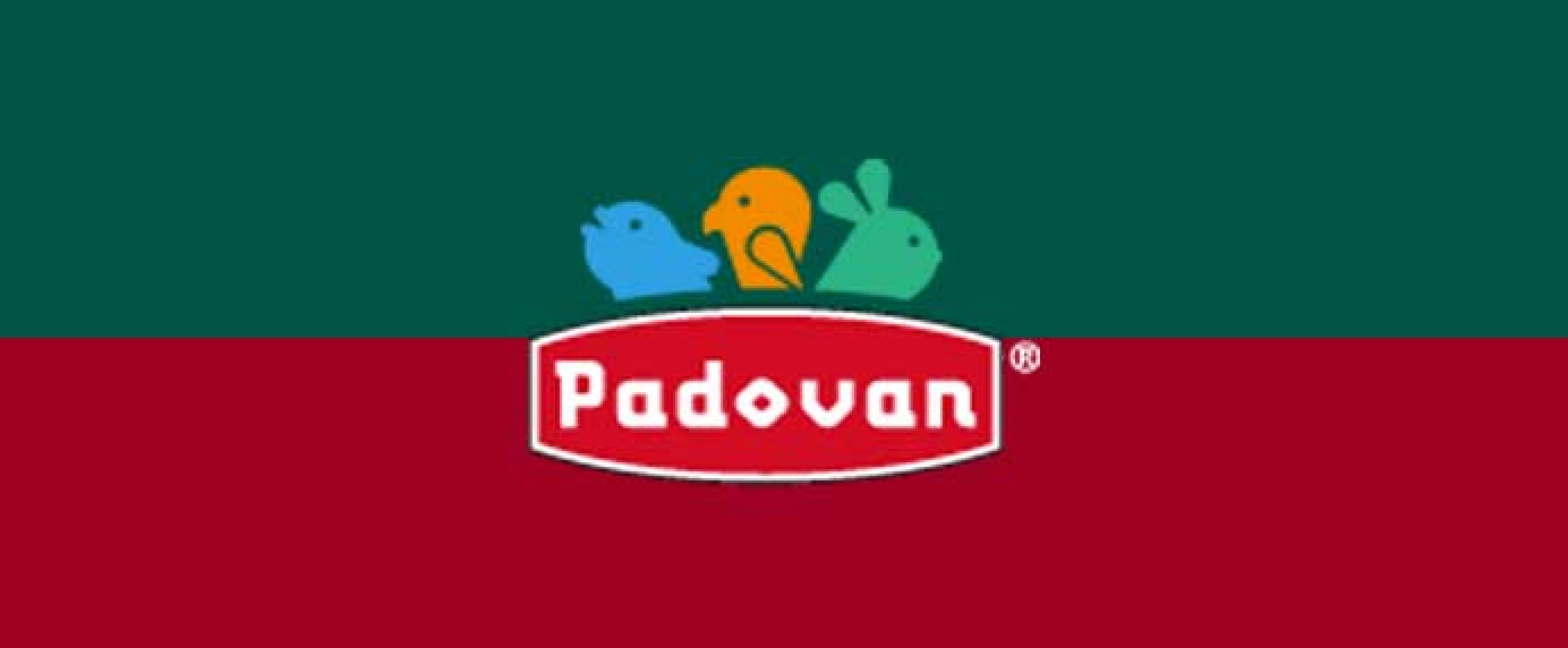 Τροφές Πουλιών Για Εξωτικά Εντομοφάγα Padovan | Petsupermarket