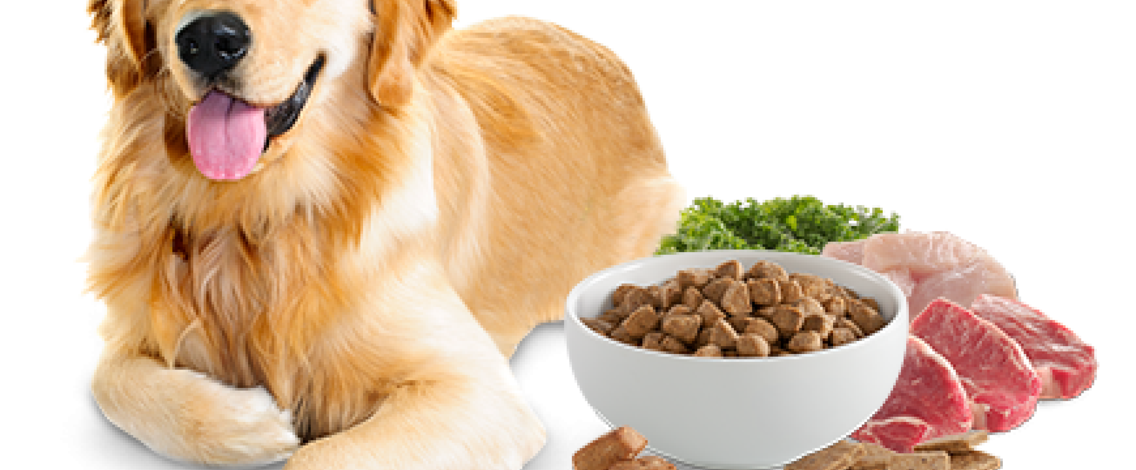 Ξηρά Τροφή Σκύλου |Petsupermarket