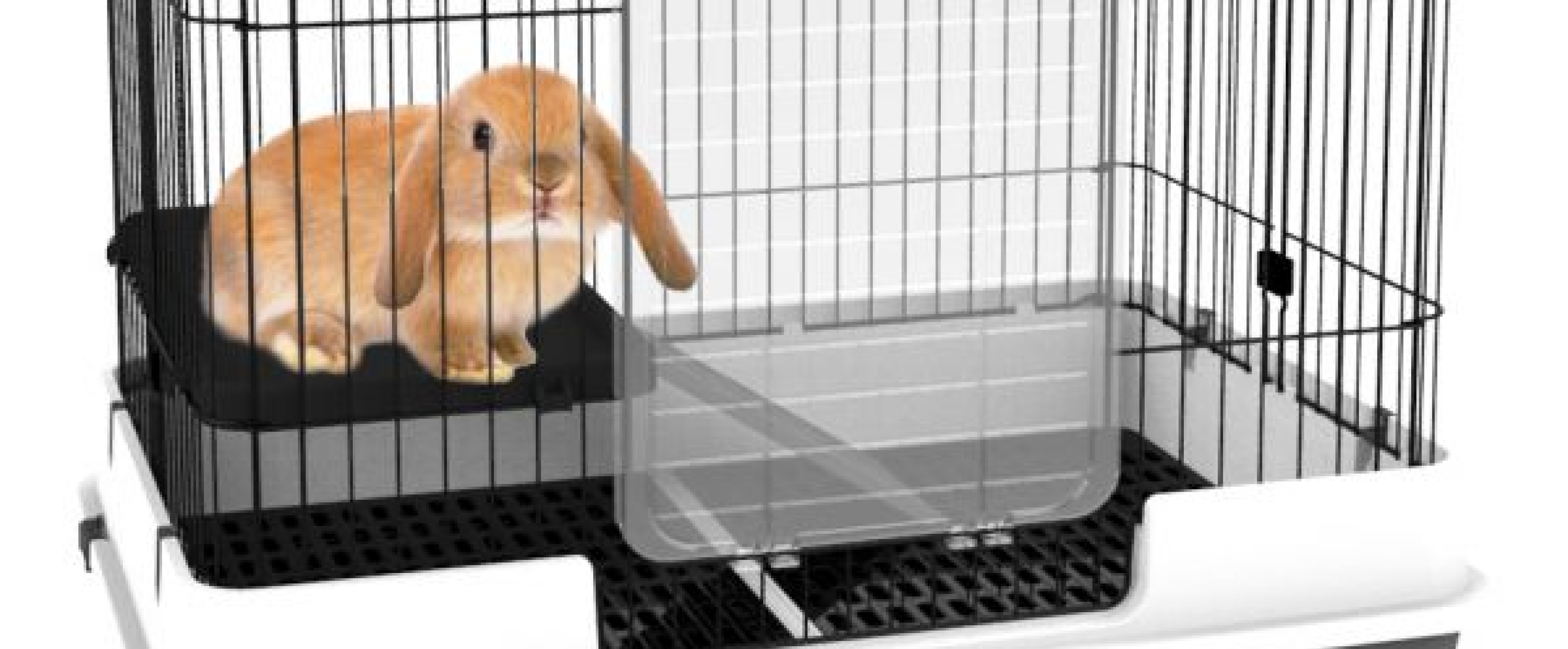 Κλουβιά Για Κουνέλια & Χάμστερ |Petsupermarket