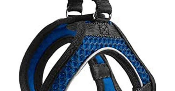 HUNTER HARNESS HILO COMFORT BLUE XXS-XS