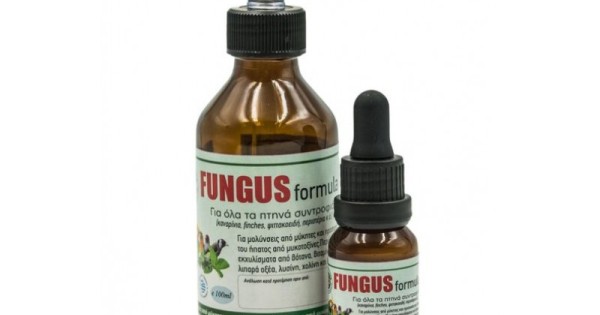 FUNGUS FORMULA 100ML