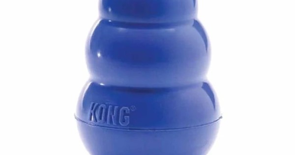 KONG BLUE SMALL